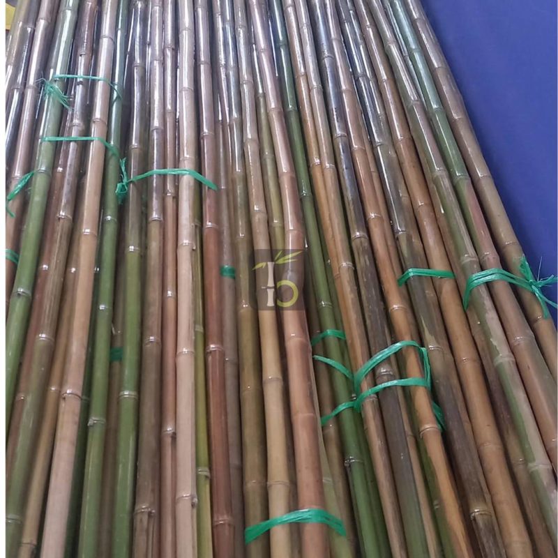 Ibambu – Lo mejor en bambú – Bioconstrucción, Instalaciones en ...