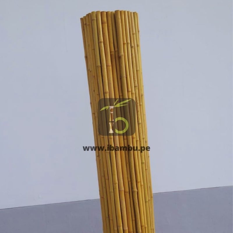 Rollizos de Bambu - Ibambu - Lo mejor en bambú